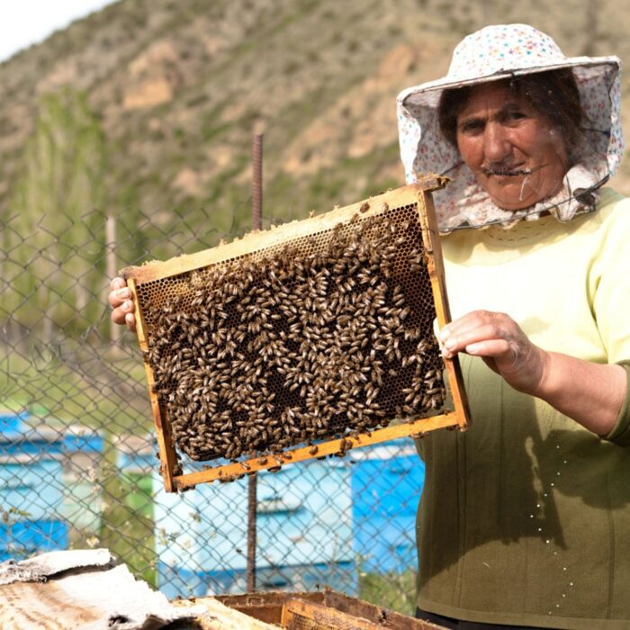 AFRAT à l'International - un sens à vos projets