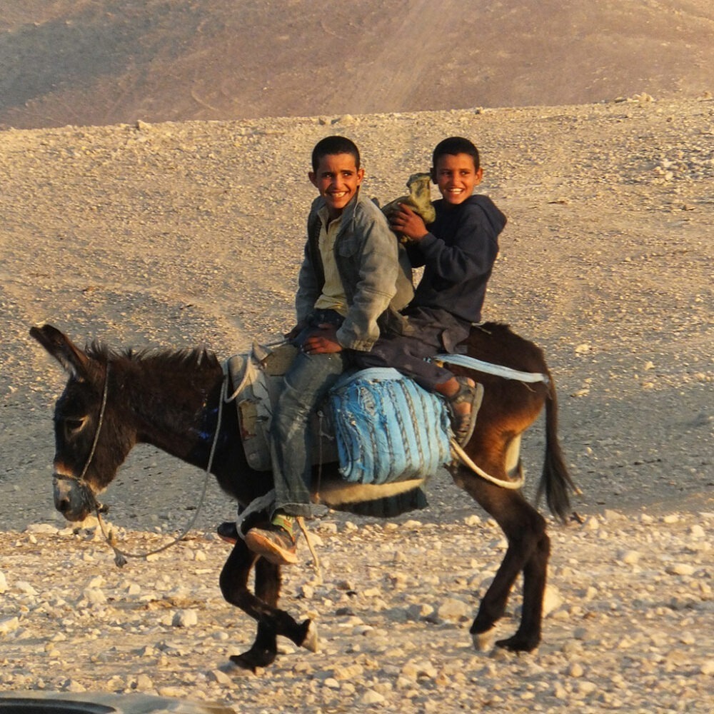 AFRAT à l'International - un sens à vos projets