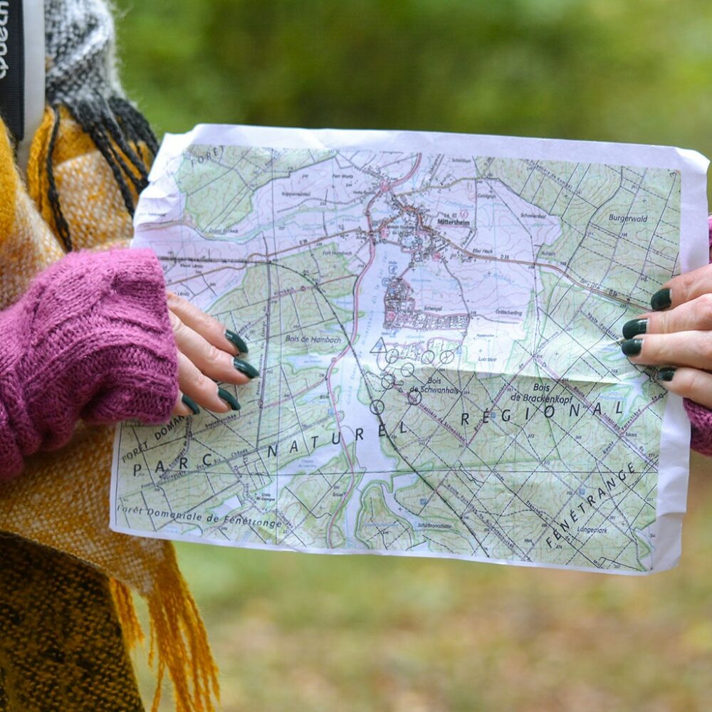 Développement territorial en France - AFRAT